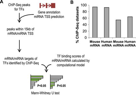 Validating Computational Tf Target Prediction Using The Compendium Of Download Scientific