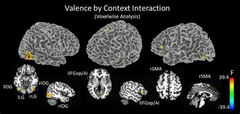 voxelwise analysis valence by context interaction effect see table 3