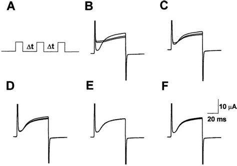 Slow Deactivation Kinetics Do Not Account For Activation At