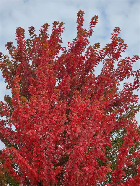 Amandeep Singh Medium