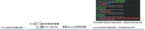 linux基础（二）系统中的文件管理 csdn博客