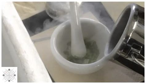 Tissue Homogenization Techniques For Rna Extraction Genetic Education