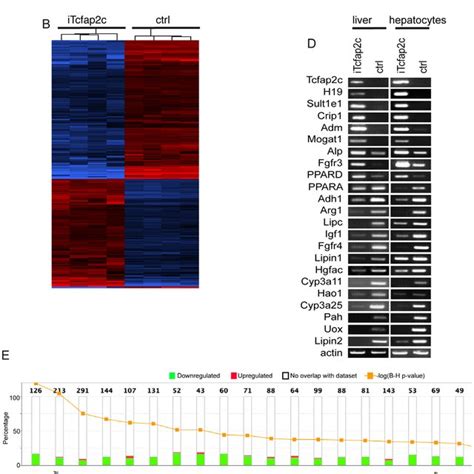 A Affymetrix Microarray Gene Expression Analysis Performed With Rna