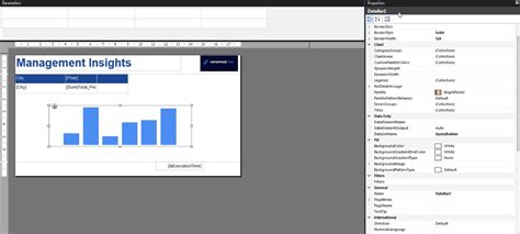How To Format A SSRS Report Builder Data Bar Chart Master Data Skills AI