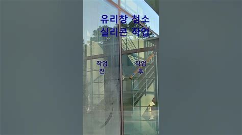 로프작업 고소작업 Ropeaccess 유리창청소 외벽청소 대전로프작업 Shorts Youtube