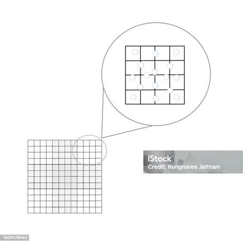 The Grid Line On Hemocytometer For Calculation Of Cell Counting Stock Illustration Download