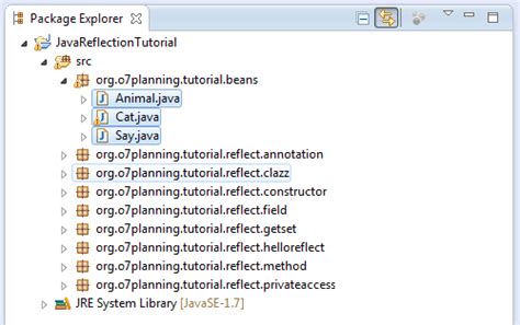 Java Reflection Tutorial with Examples | o7planning.org