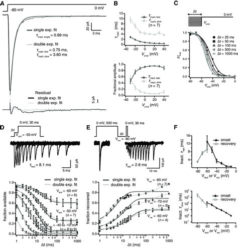 Inactivation Of I Nat In Nucleated Patch Recordings A Time Course Of Download Scientific