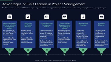 Responsibilities Project Management Office Implementing Digitalization Adva