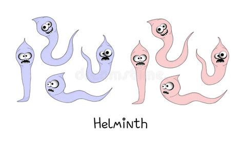 Helminth Humans Stock Illustrations 41 Helminth Humans Stock