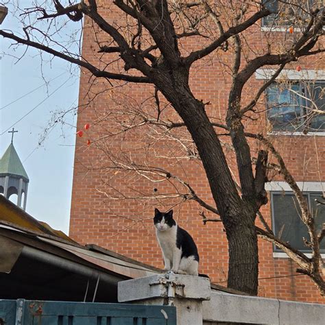 문득 큰 슬픔에 잠식당해있다는것을 깨닫게 되는 날이다 숨 쉬고 있지만 옥죄인 느낌에 소리치고 싶었고 웃고 있지만 엉엉 울고