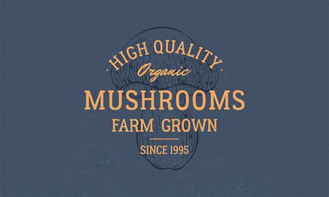 버섯 농장 재배 로고 빈티지 버섯 로고 라벨 엠블럼 진한 파란색 배경에 버섯 버섯 농장 식품 시장을위한 고품질의 유기농 엠블럼 벡터 일러스트레이션 0명에 대한 스톡 벡터