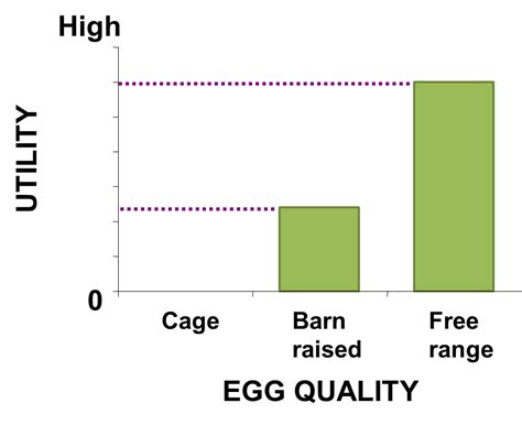 Conjoint Analysis The Basics Q Research Software