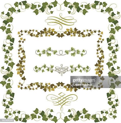 Ivy Borders Photos And Premium High Res Pictures Getty Images
