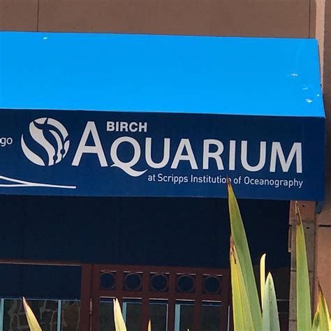 Splash Cafe La Jolla Menu Prices And Restaurant Reviews Tripadvisor