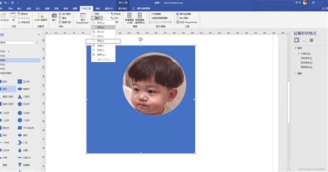 Visio给图片添加任意形状外框visio图片形状改成圆形 Csdn博客