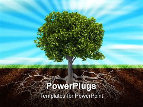 PowerPoint Template Life Roots And Green Trees Nature Green Grass Sunshine Light Behind Tree