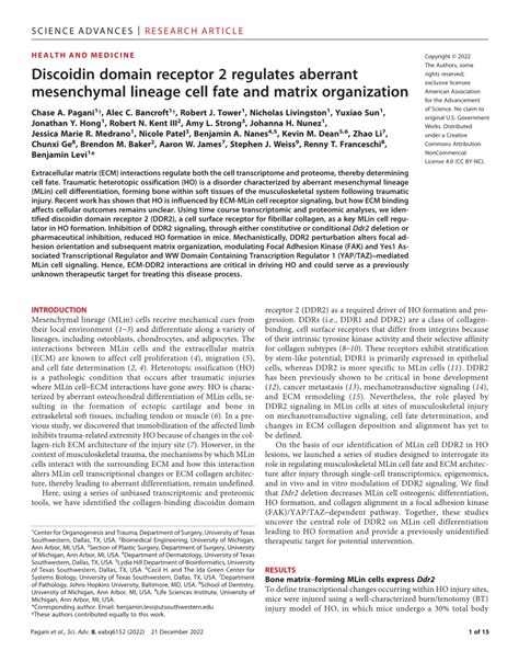 Pdf Discoidin Domain Receptor 2 Regulates Aberrant Mesenchymal Lineage Cell Fate And Matrix