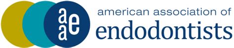 Aae Advocacy Highlights The Significance Of Endodontics In Meeting With Cms Chief Dental Officer