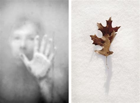 Jane Feely And Tobin Fraley Perspective Gallery Blog F Stop Magazine