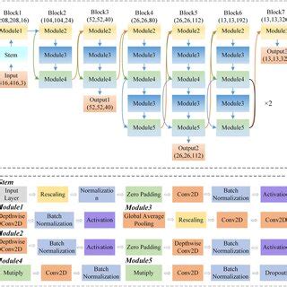 Structure Of EfficientNet Network Download Scientific Diagram