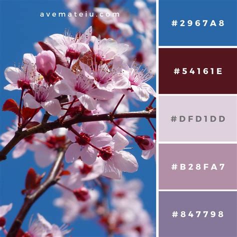Photo Of Cherry Blossom Color Palette 185 Ave Mateiu Blue Colour Palette Green Colour Photo Of Cherry Blossom Color Palette 185 Ave Mateiu Blue Colour Palette Green Colour