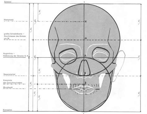 Cómo Dibujar Un Cráneo Pose Frontal — Abraham Serey Ab´s Pencils