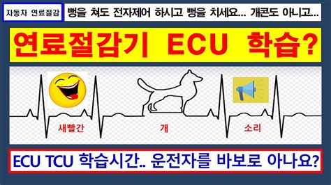 연료절감기 30강 연료절감기 장착하고 Ecu 학습해야 연비가 올라간다고 한다면 꼭 보세요 Ecu 로직을 모르는 일반인을 대상으로 뻥 연비향상 연비개선 매연