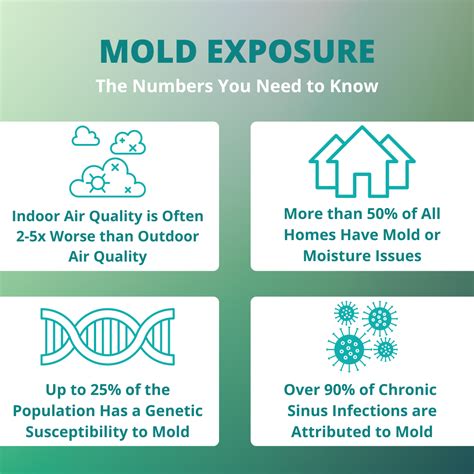 Mold Exposure The Numbers You Need To Know Genesis Healthy Homes