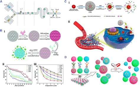 A Schematic Diagram Of Droplet‐cell‐based Drug Screening Reproduced Download Scientific