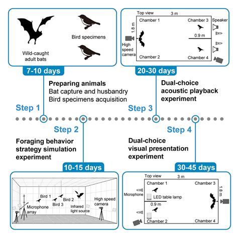 Cell Press Star Protocols