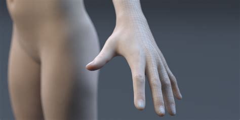 Nude High Resolution Female Base Model T Pose Superhive Formerly Blender Market