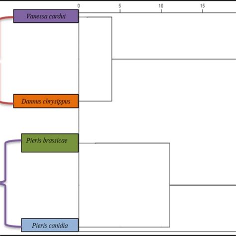 dendrogram derived from upgma cluster analysis based on the mahalanobis