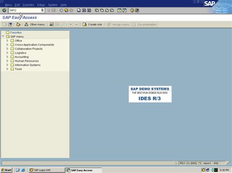 Sap Basis Technicals Sap Lock Entires Sm12