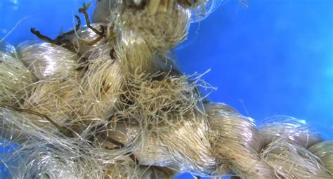 Sintef Net Materials Cleaning Methods Can Dramatically Cut