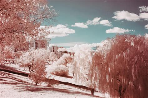 1000 Free Infrared Sensor And Sensor Images Pixabay