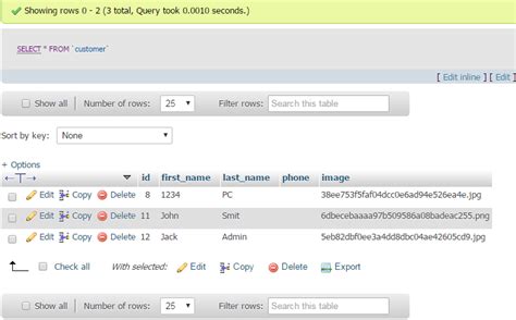 CodeIgniter Basic Upload File With Database Monkeywebstudio