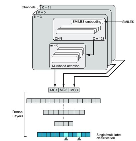 2 The Toxsmi Model A Convolutional Attention Based Neural Network