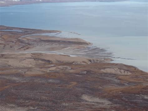 6 Delta Morphology In The Young Sound Area Zackenberg Delta Recent