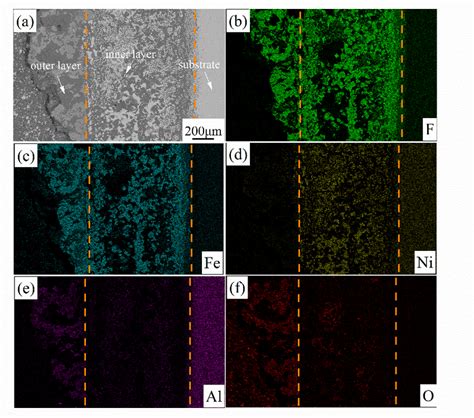 the sem cross section micrograph a and eds mapping with respect to f