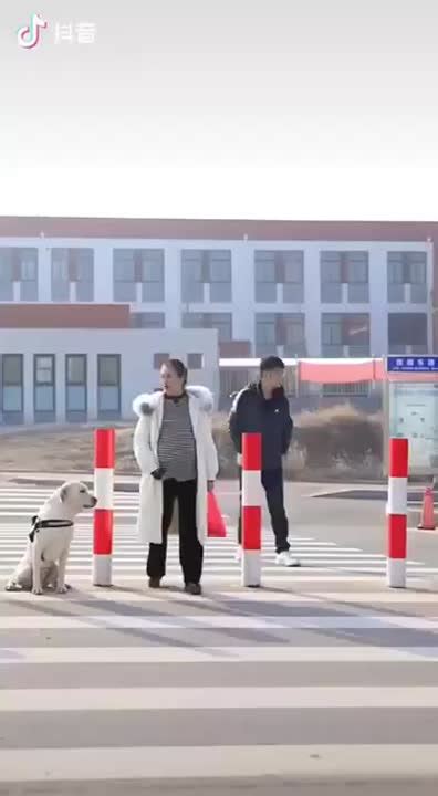 Sevrin Şen Posted On Linkedin