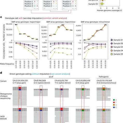 Reconstruction Of Genotypes From Ultra Deep Gut Metagenome Data A