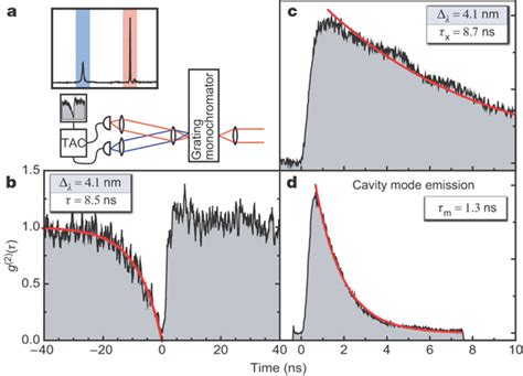 Cross Correlation Histogram And Time Resolved Photoluminescence From