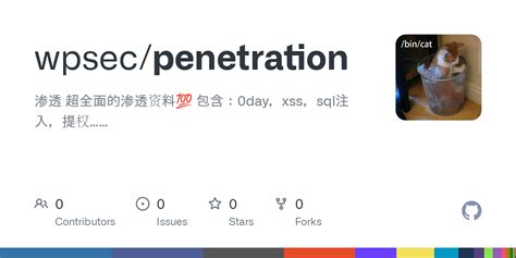 GitHub wpsec penetration 渗透 超全面的渗透资料 包含 dayxsssql注入提权