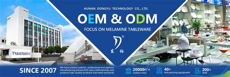 Company Overview Hunan Dongyu Technology Co Ltd
