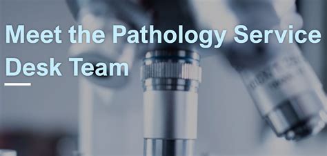 Vasculitis Screen Esneft Pathology