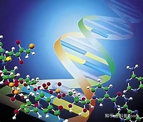 基因突变与遗传疾病：人类基因的可变性 知乎
