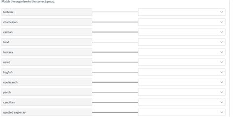 Solved Match The Organism To The Correct