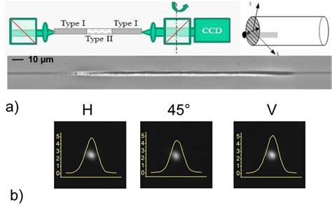 14 A Schematic View Of A Polarization Optical Router Written By Download Scientific Diagram