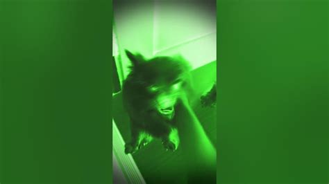 Analog Horror Youtube